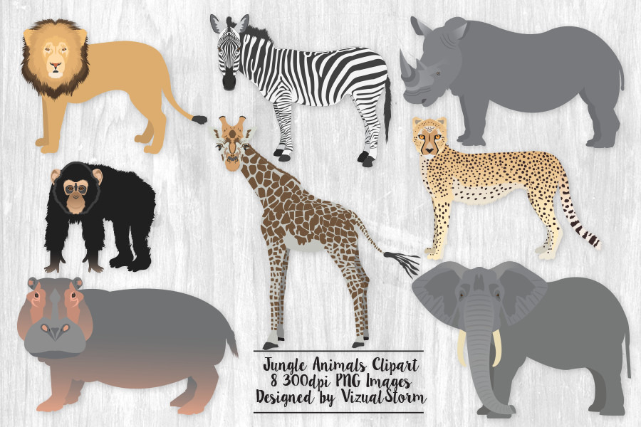 Jungle Animal Clip Art Illustrations, an Animal Illustration by VizualStorm