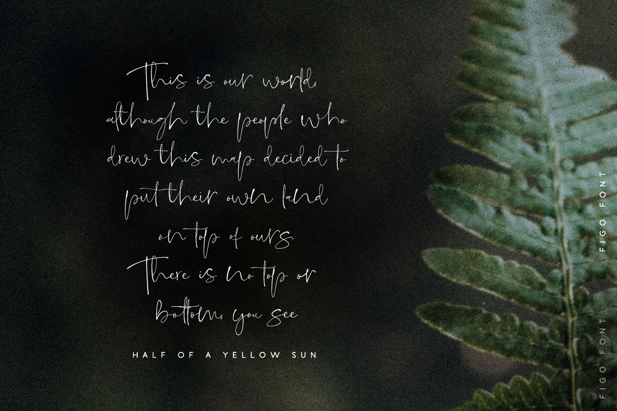 figo font, a Script Font by vuuuds