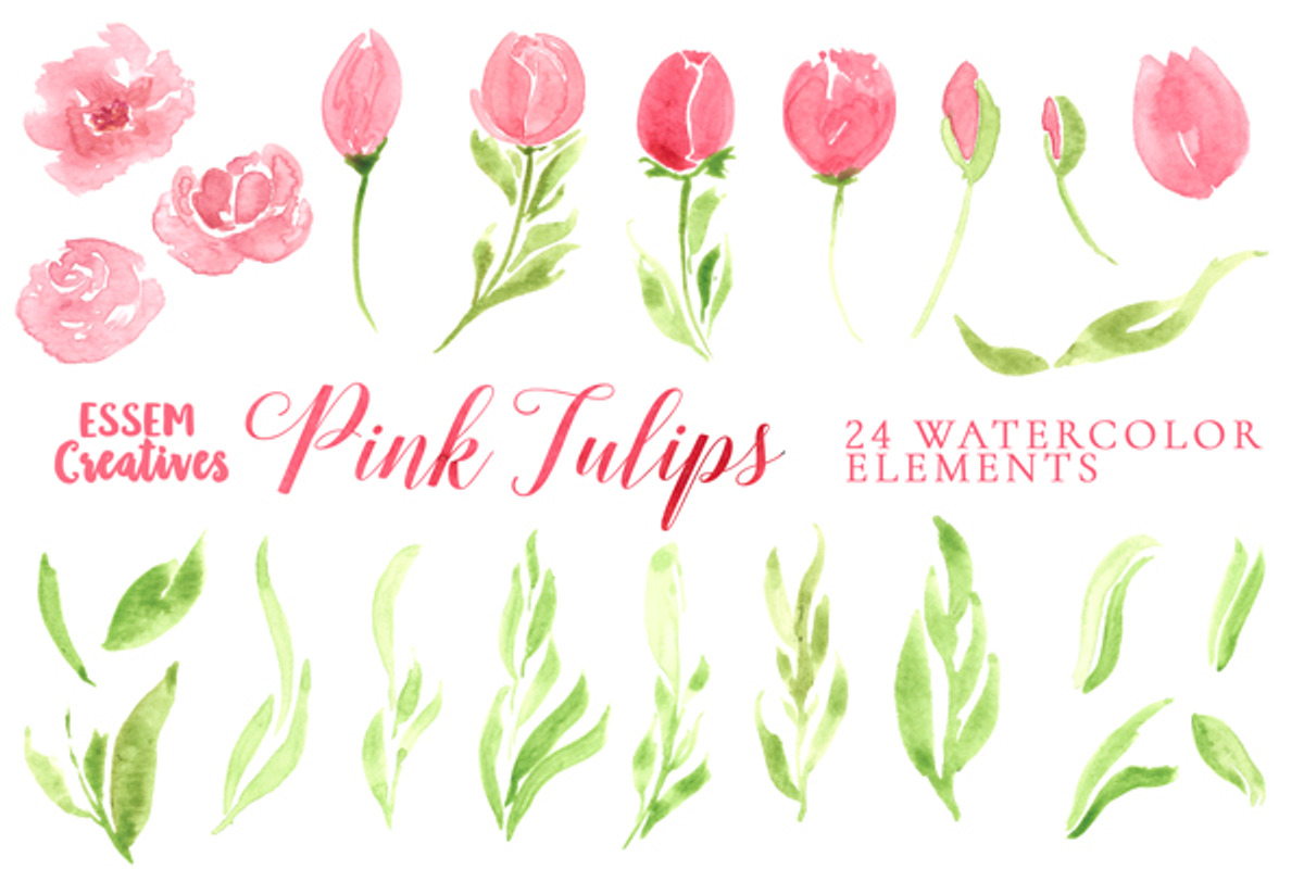 SET of Watercolour Tulips Clipart, an Illustration by Essem Creatives