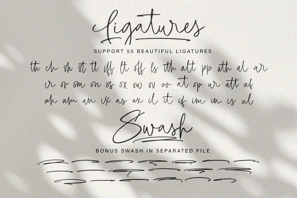 Taylor Hand - Handwritten Signature