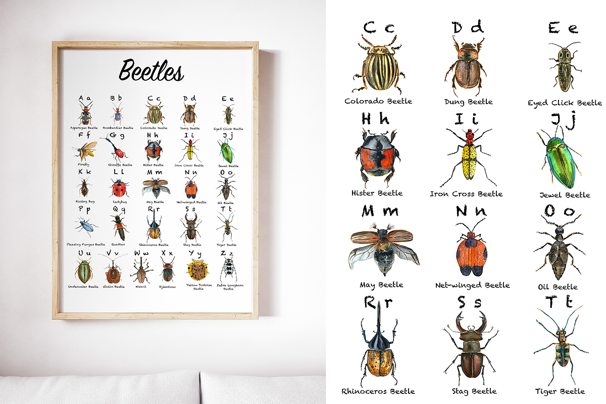 Beetles ABC Posters, an Education Illustration by Tati Bordiu