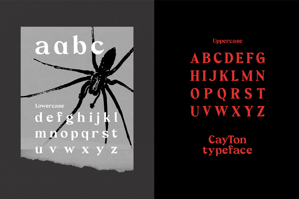 Cayton - Vintage Sharp Serif Font, a Serif Font by Drizy
