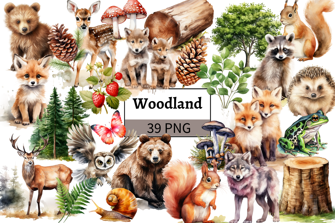 Woodland Animals Clipart Bundle, an Animal Illustration by Mash Mash ...