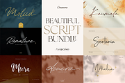 Beautiful Script Font Bundle