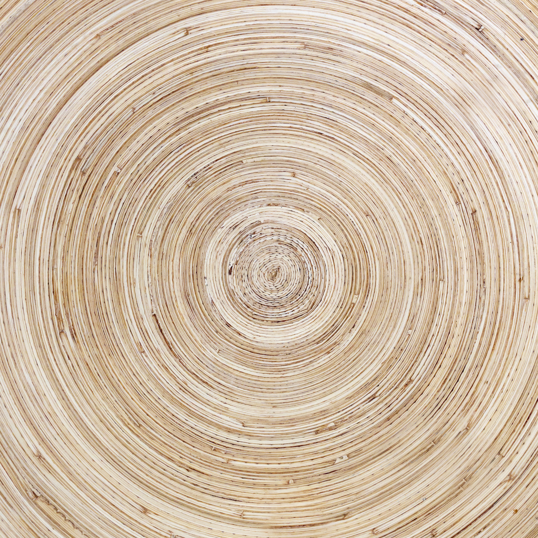 Tree rings background