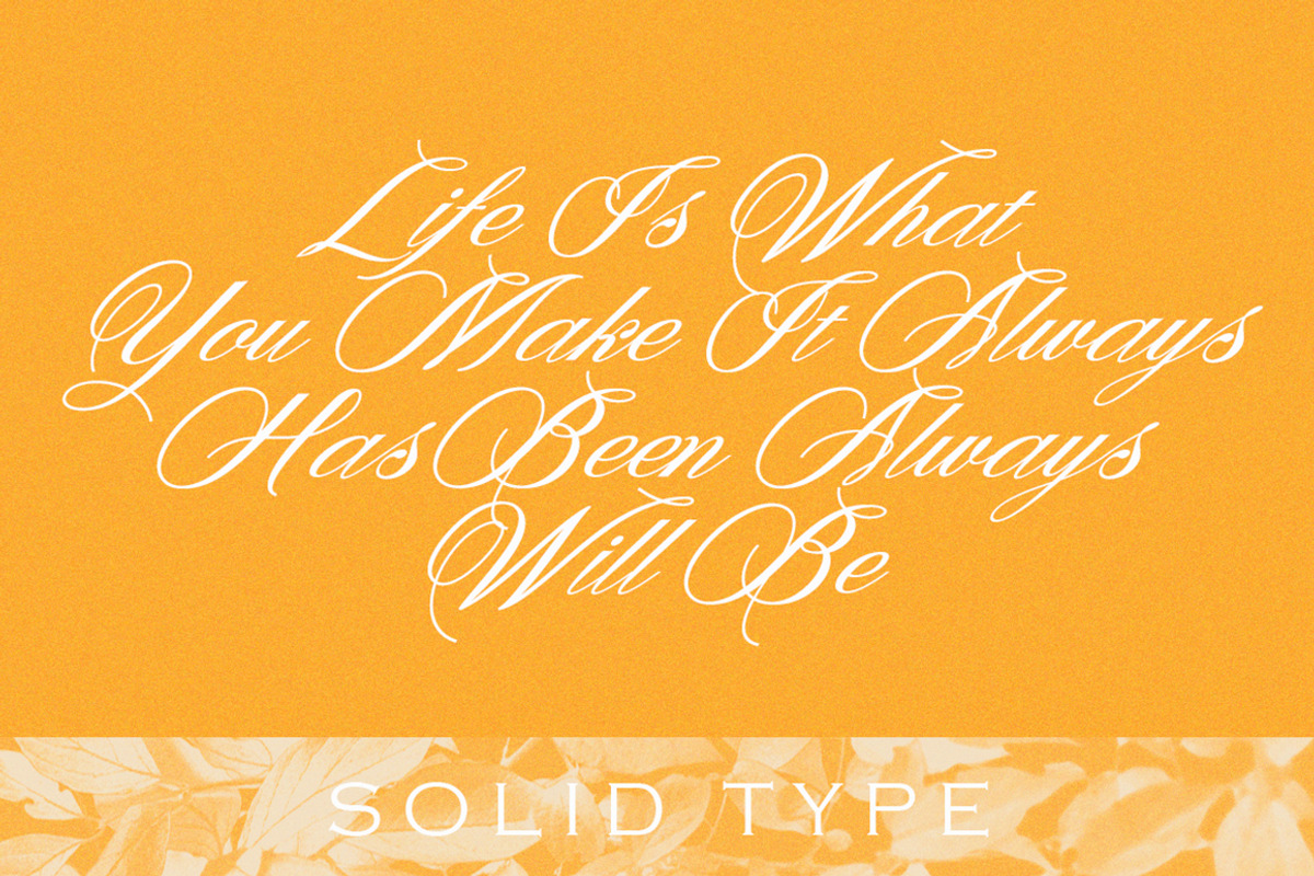 Denita Script, a Script Font by Solidtype