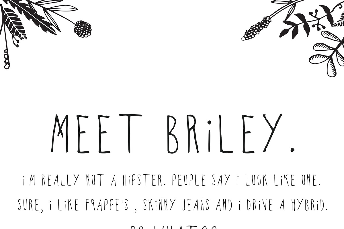 Briley Typeface, a Sans Serif Font by Sweet Little Muse