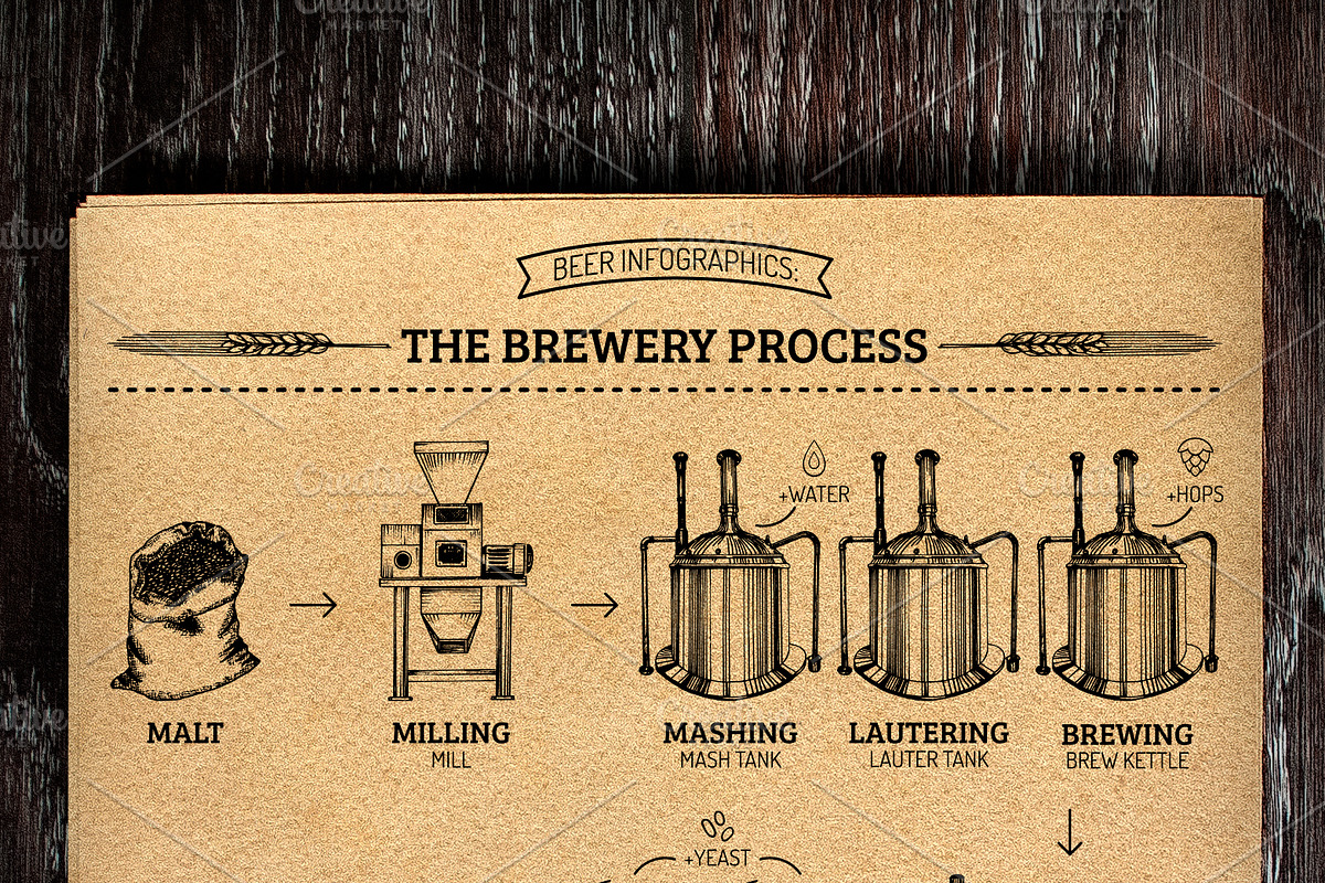The brewery process infographics, a Food Illustration by Chewie Co