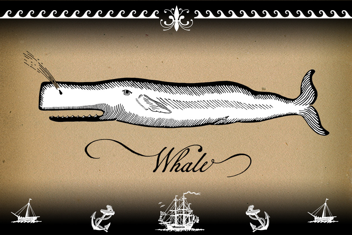 Geographica Script, fine 1700s cursive