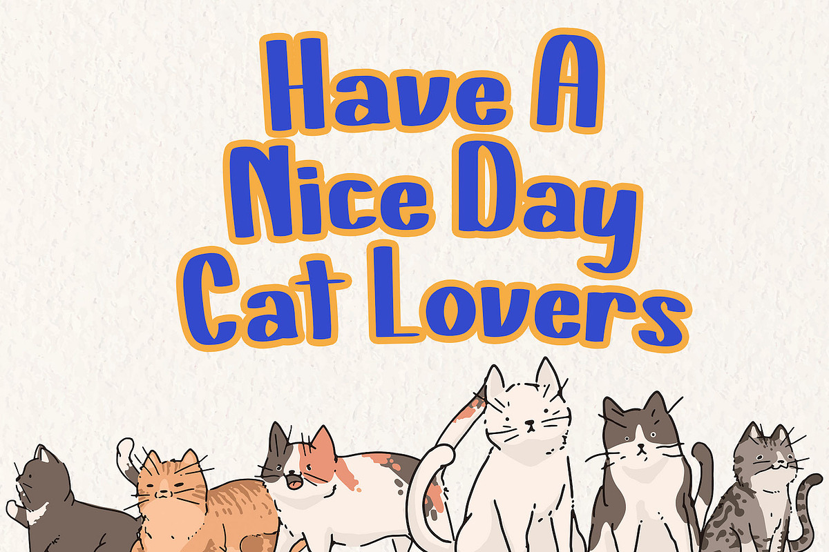 Rox Display - Playful Display Font, a Font by StringLabs