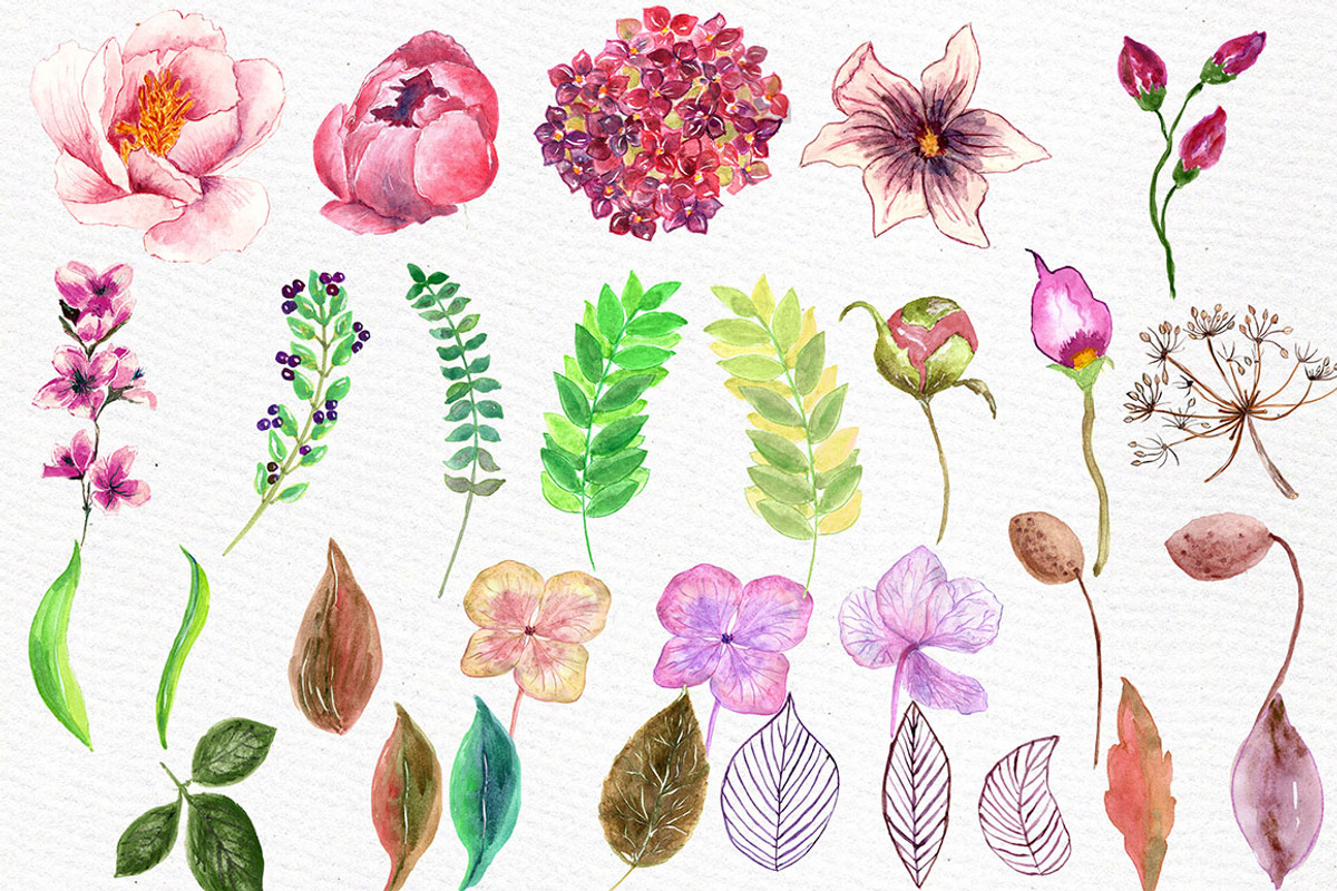 Watercolor floral clip art, an Illustration by LeCoqDesign