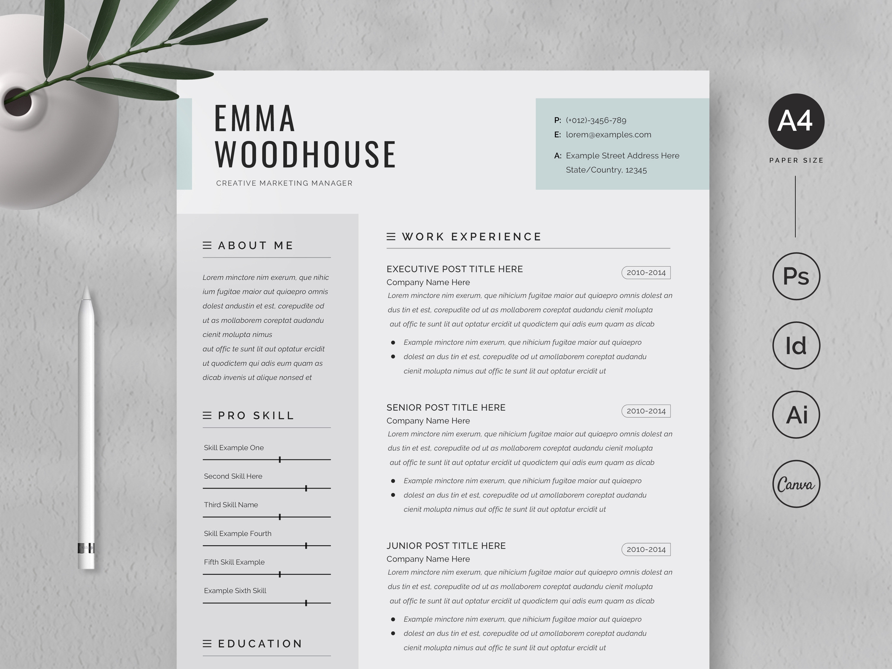 Resume Template / CV, a Resume Template by UpSolution
