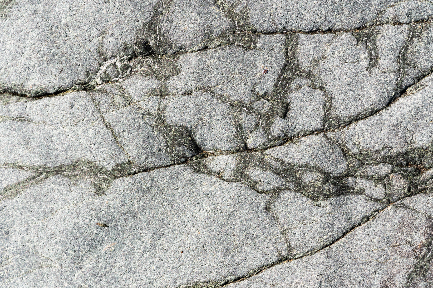 Cracked stone surface grey color, an Abstract Photo by Alexander-Piragis