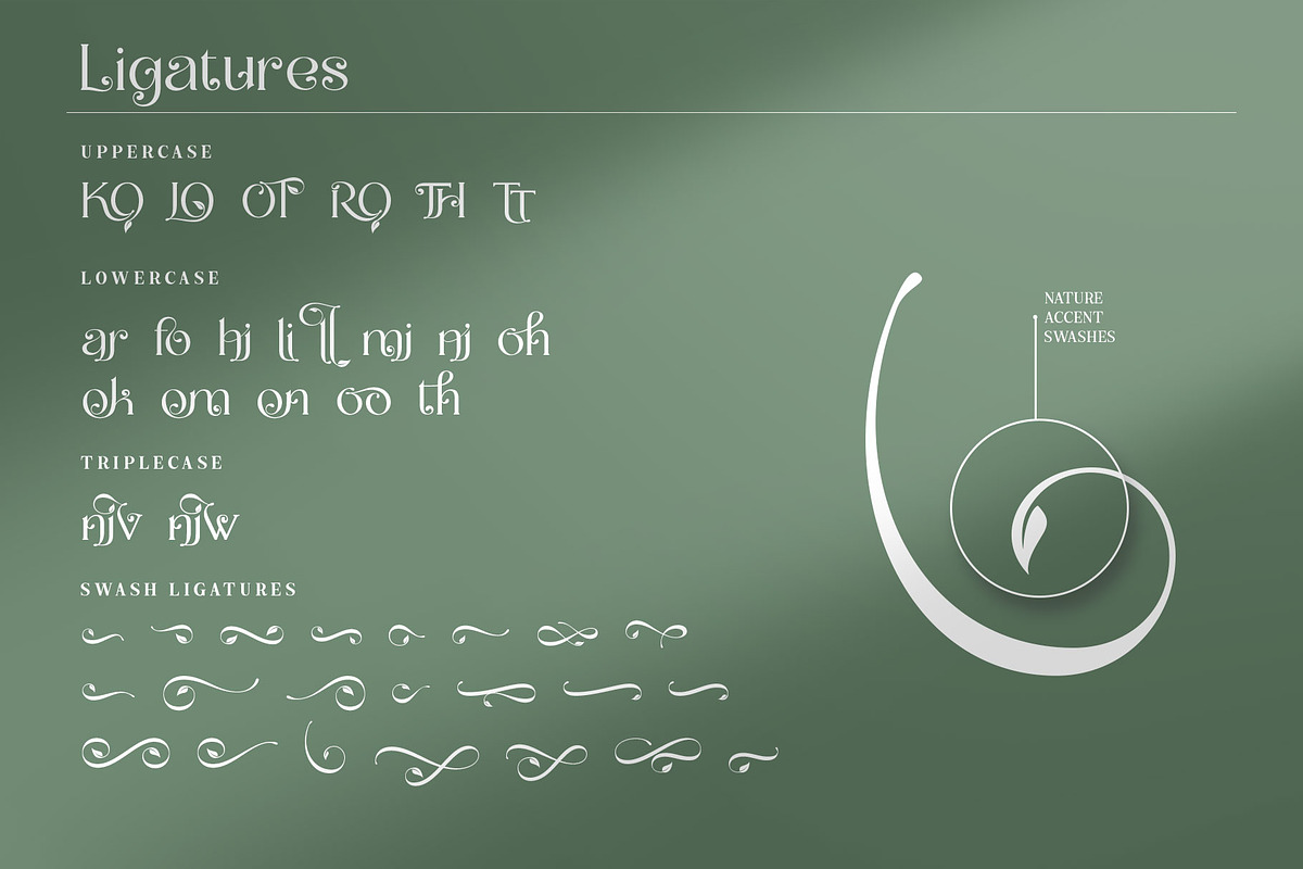 The Moot Jungle Nature Typeface, a Serif Font by alit design