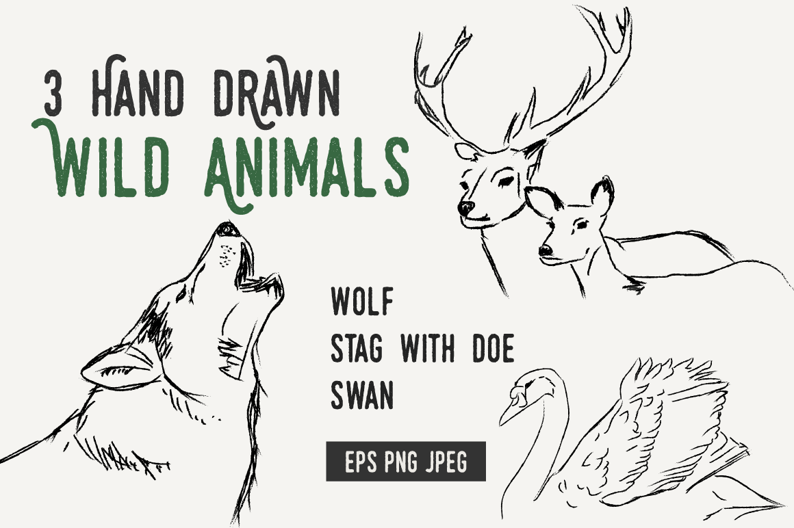 Hand drawn WOLF SWAN STAG DOE, an Animal Illustration by DESIGNair