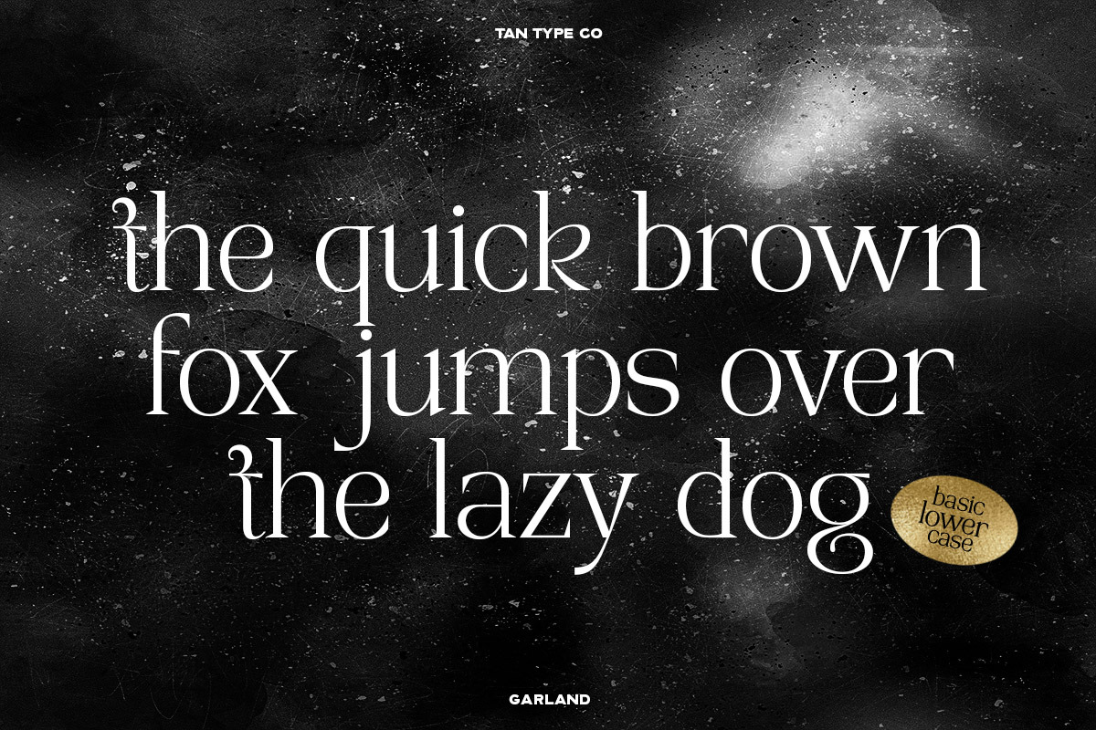 TAN - GARLAND, a Serif Font by TanType