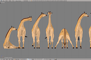 Giraffe, an Animal 3D Model by Studio Ochi | Creative Market