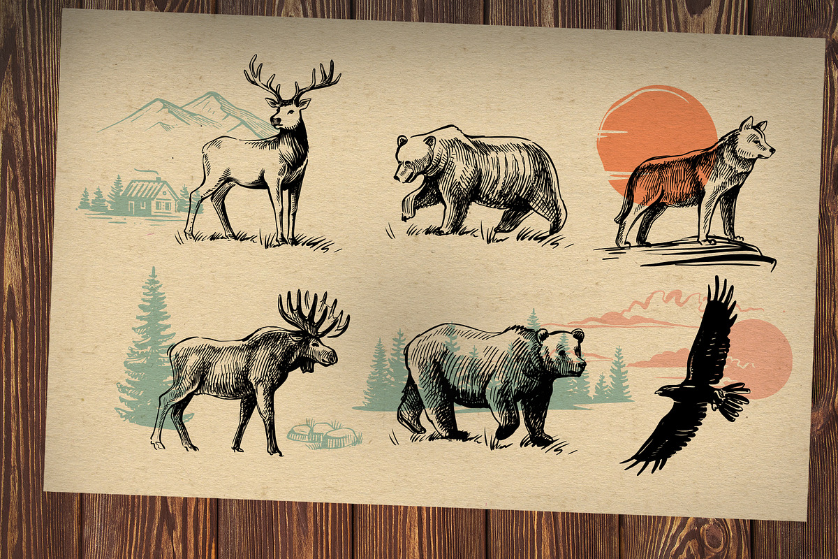 Adventure sketch vector set., an Animal Illustration by bioraven