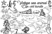 Vintage Sea Creature Clipart