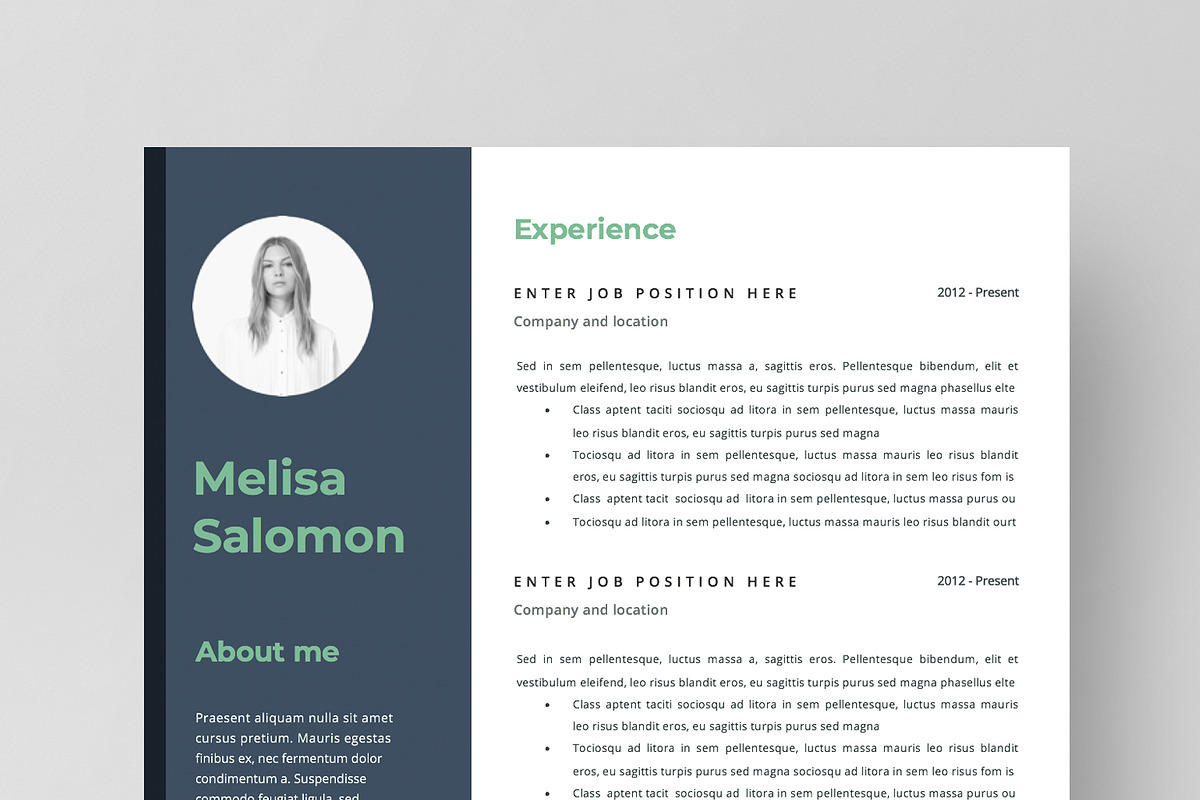 Resume Template 2 page | Budapest, a Resume Template by Resume Angels