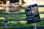 Free Range Eggs for sale sign | Animal Stock Photos ~ Creative Market