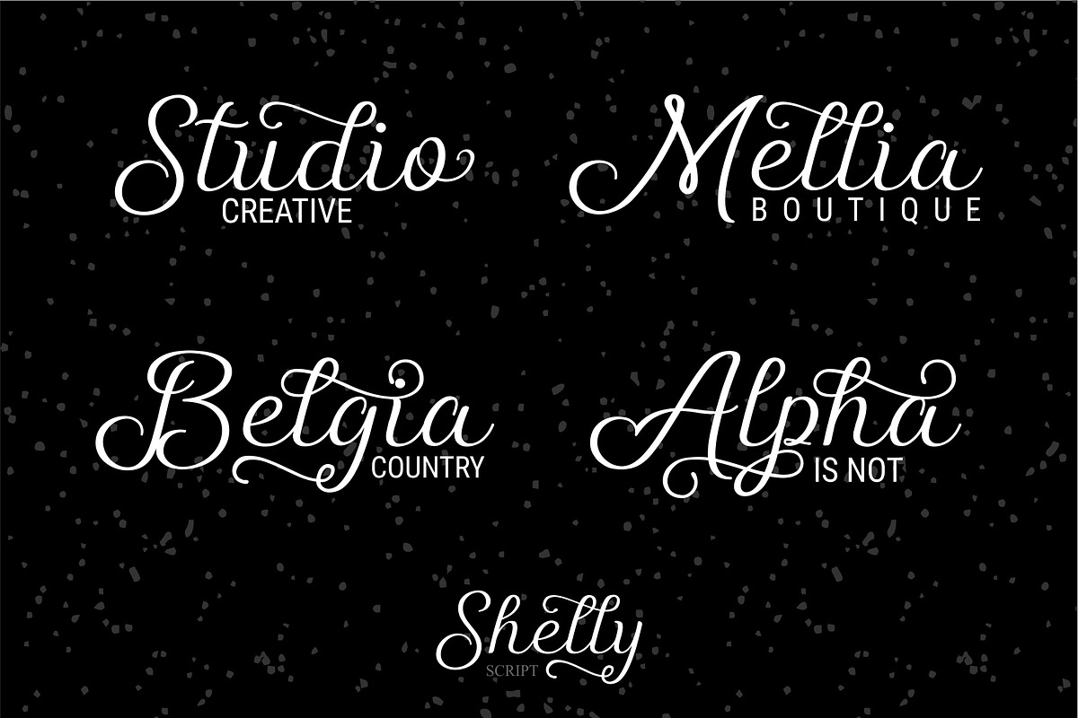 Shelly Script Font, a Script Font by Beautypes