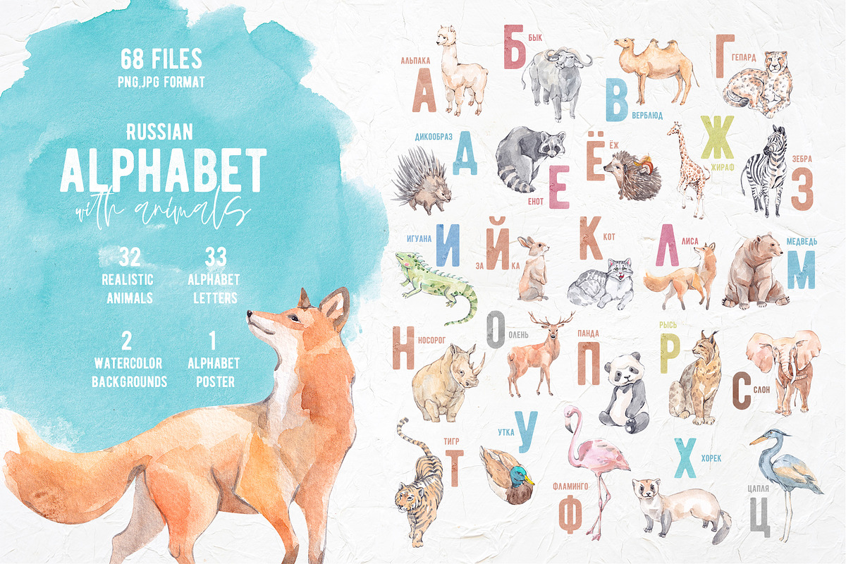Russian Alphabet with Animals, an Animal Illustration by VerAna