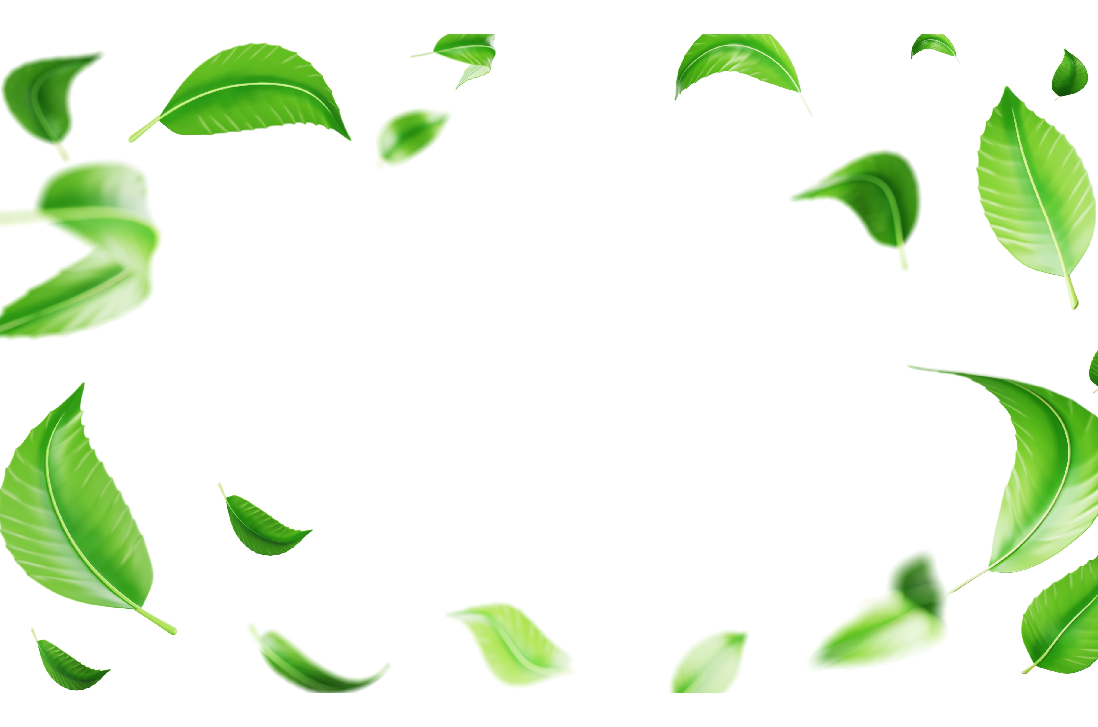 Green tea leaves frame 3d render on, a Plants & Tree 3D Model by ...