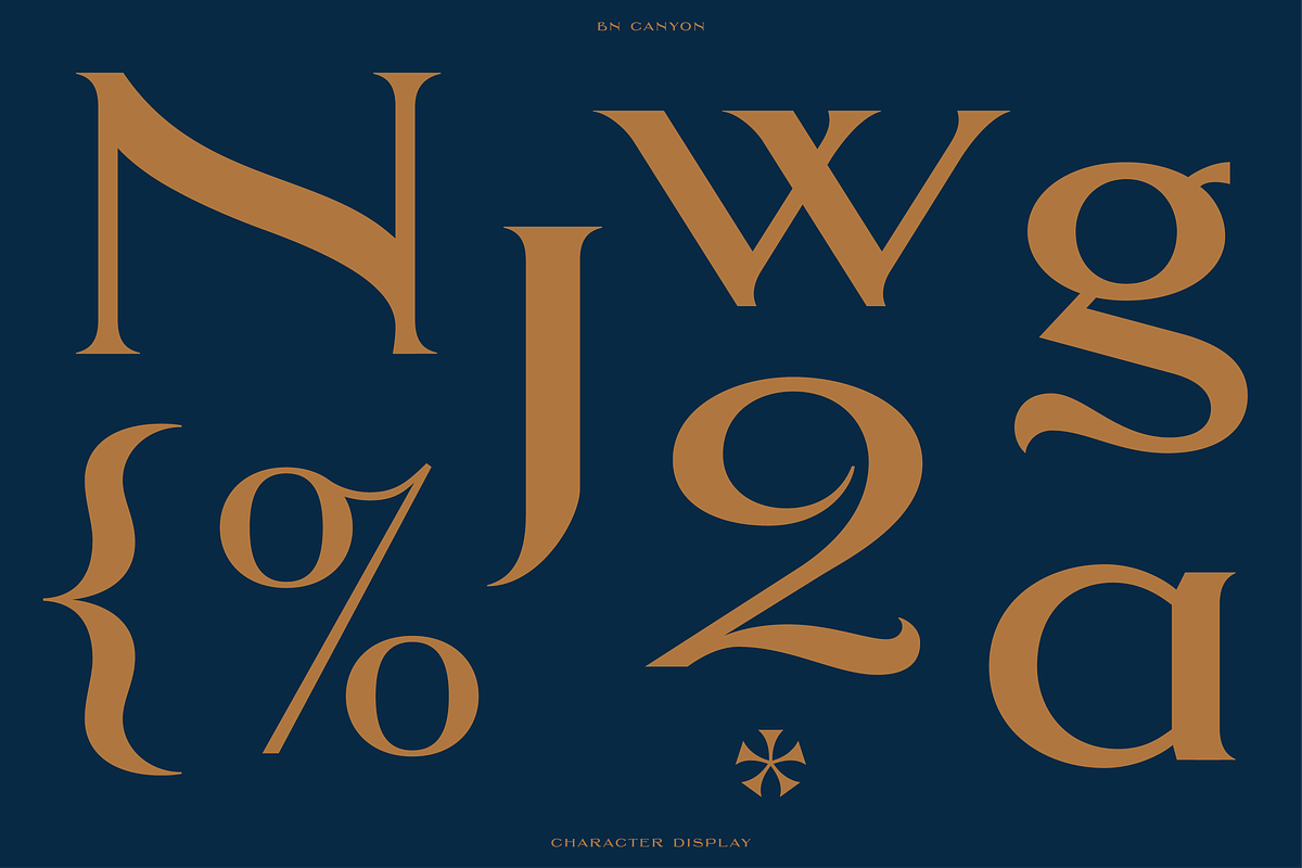 Canyon - An Elegant Serif Typeface, a Sans Serif Font by Bnick