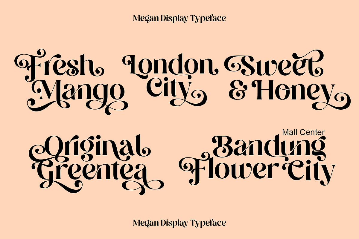 Megan Display Font, a Sans Serif Font by INKSUN™
