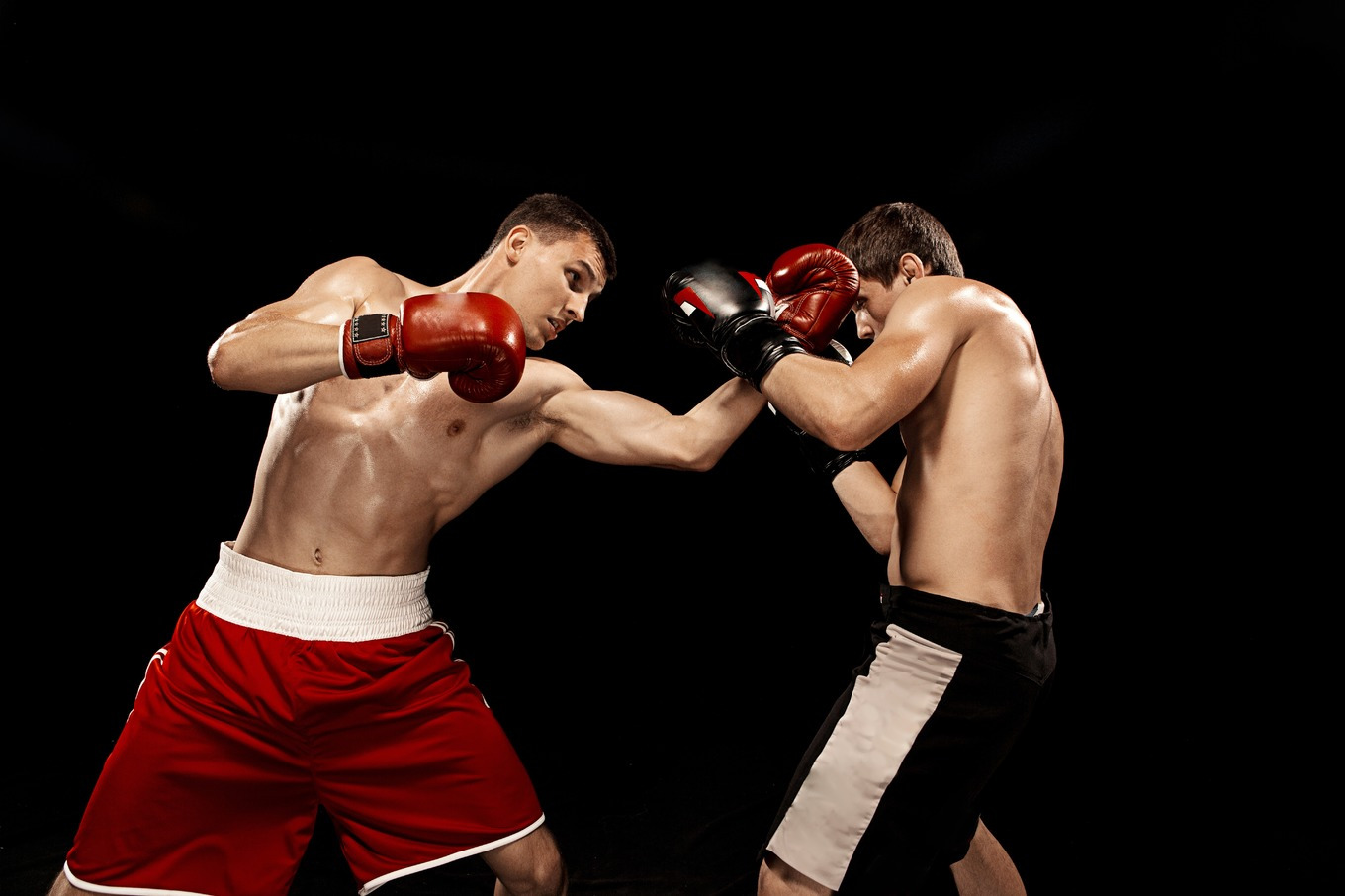 Two professional boxer boxing on black background featuring boxing ...
