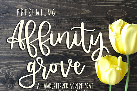 Glossed Script, a Script Font by Affinity Grove