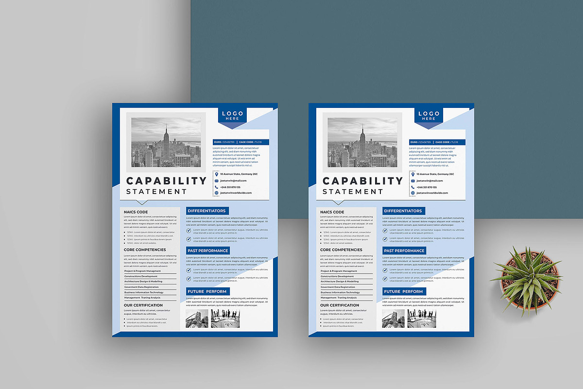 Capability Statement | Word & Indd, a Flyer Template by obayes