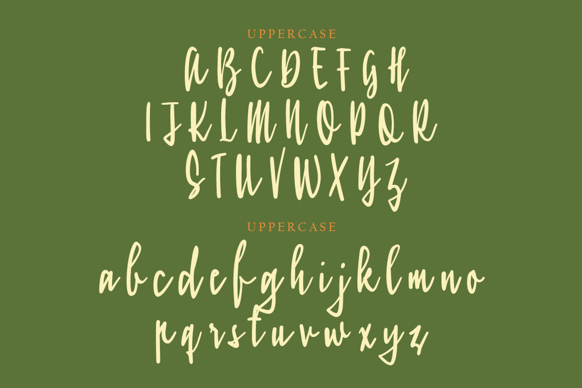 Roselyn Handwriting | A Modern Font
