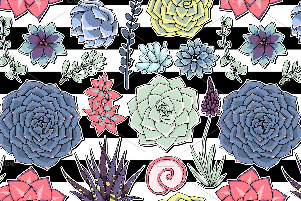 5 seamless succulent patterns, a Pattern Graphic by kizi | Creative Market