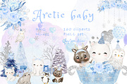 Arctic baby animal