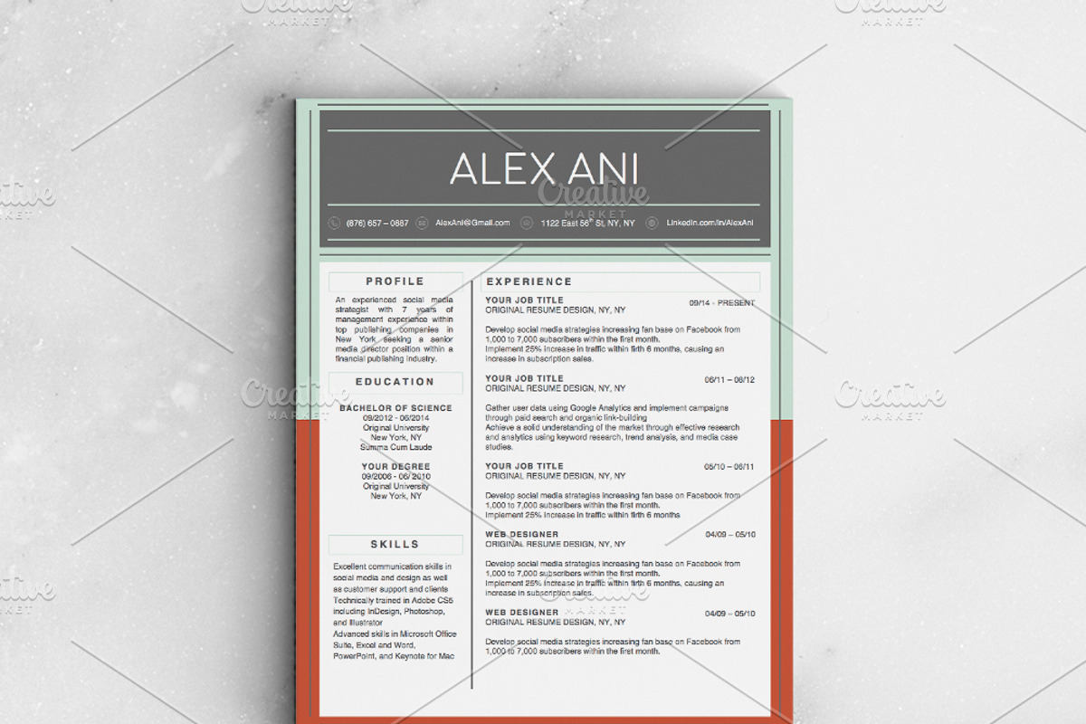 Alex Ani Modern 2-Page Resume, a Resume Template by Stand Out Shop