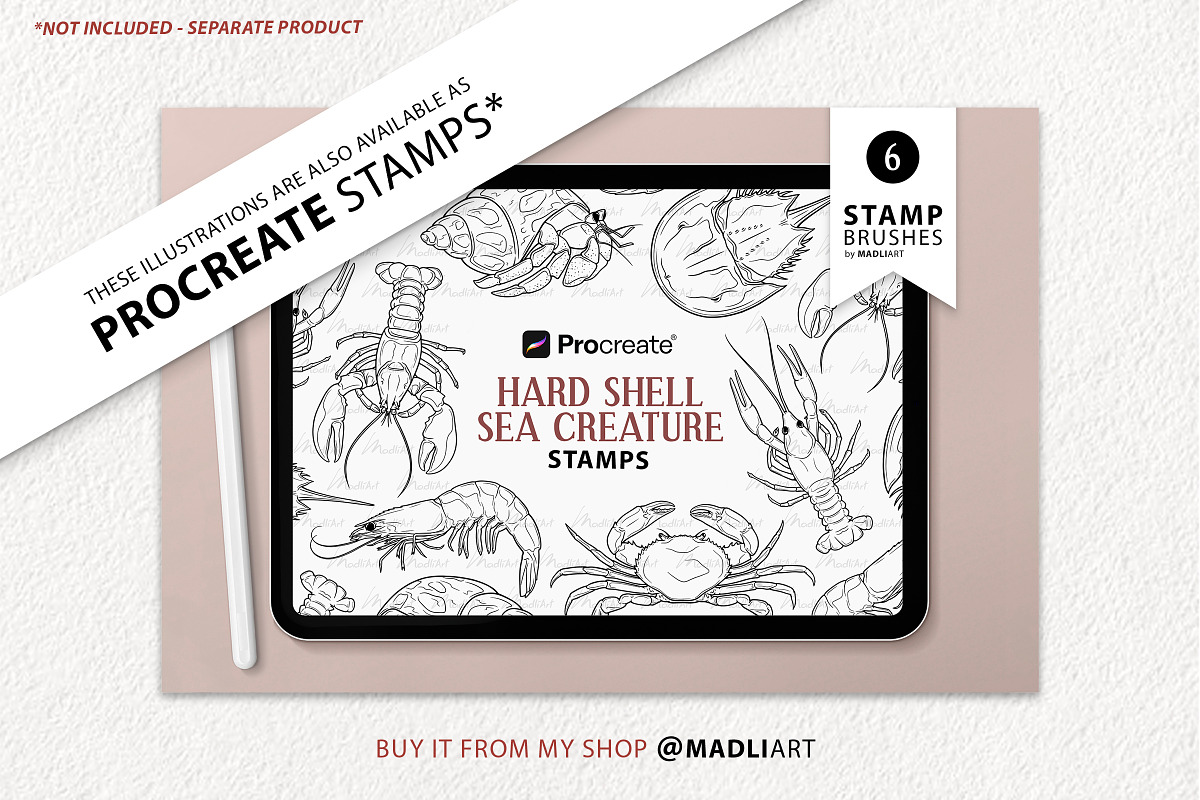 Hard Shell Sea Creatures Line Art, an Animal Illustration by MadliArt