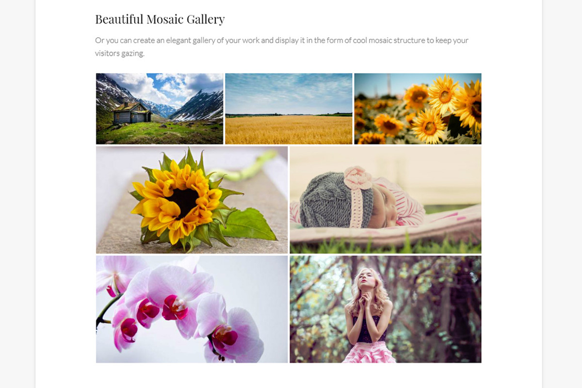 Xposure: WordPress Photography Theme, a WordPress Template by Creatika