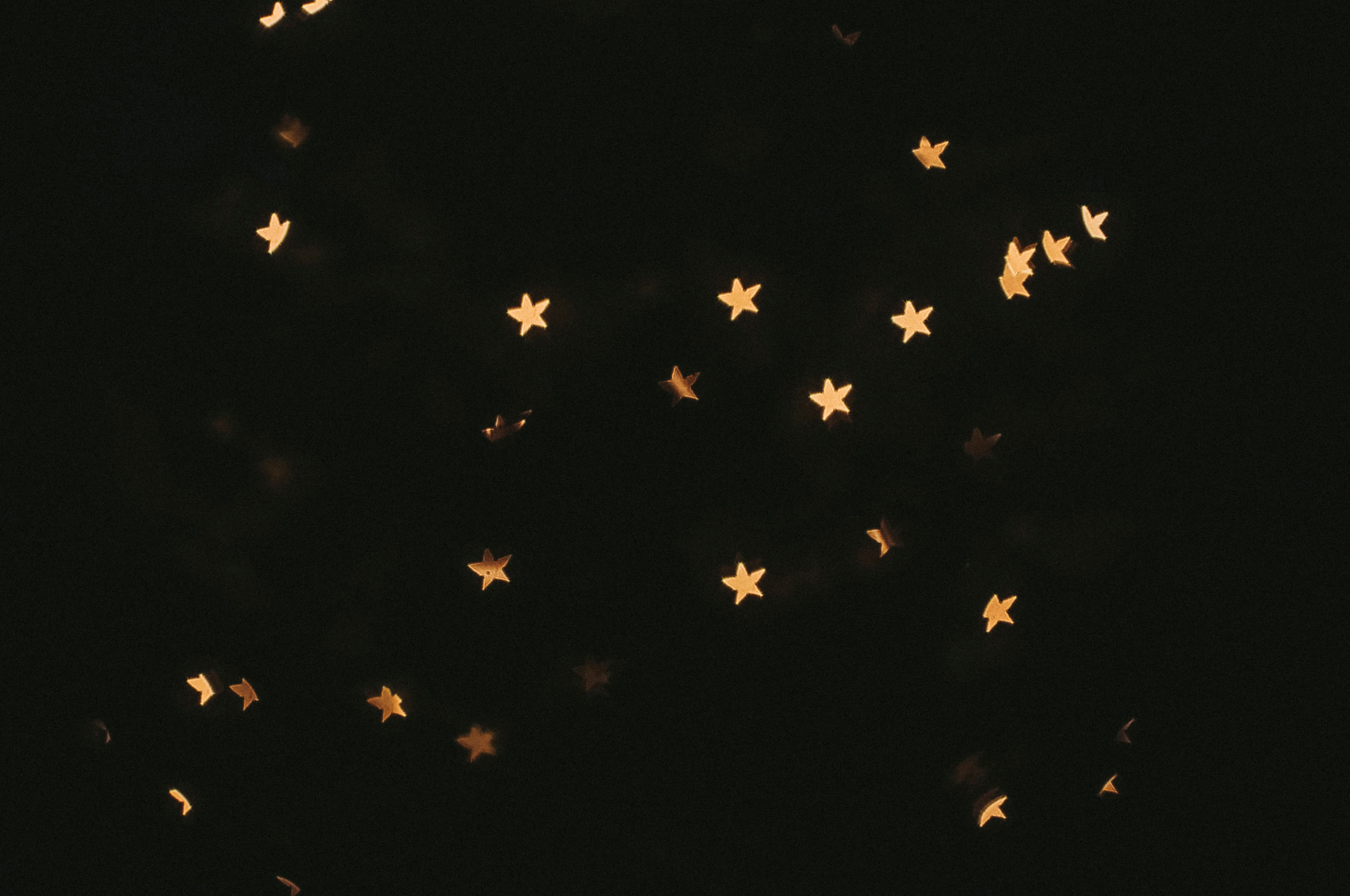 Delicate Stars, a Holiday Photo by Melanie Helena