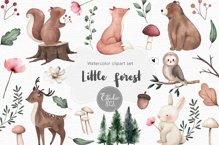 Watercolor Woodland Animals Clipart | Animal Illustrations ~ Creative ...