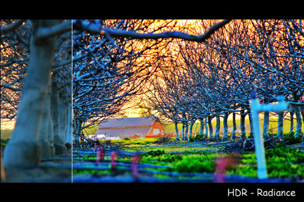 (85% off) HDR - Radiance | PS Action, an Action Add-On by Linspace