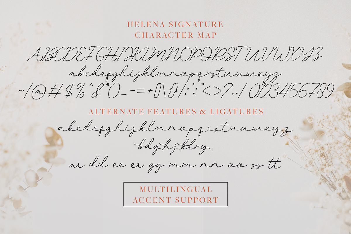 Helena Signature Business Font | Creative Market