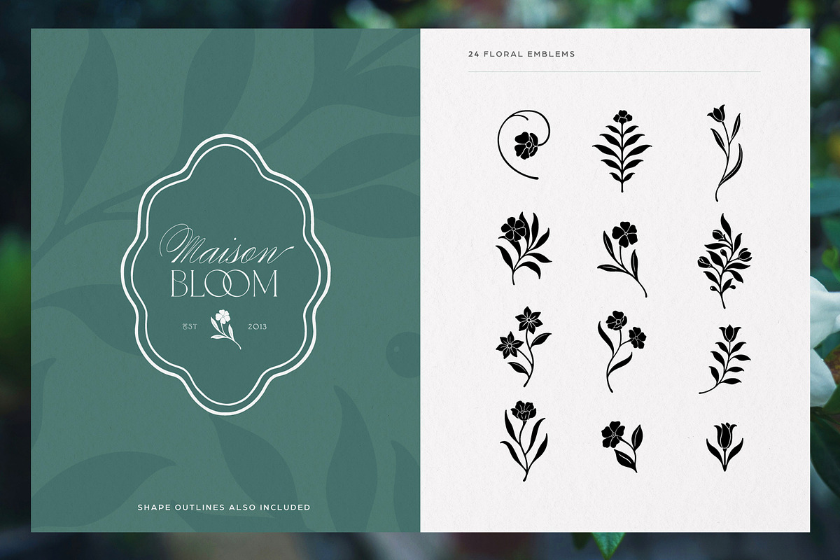 Florish Decorative Vector Collection, an Object Graphic by rouxsupplyco
