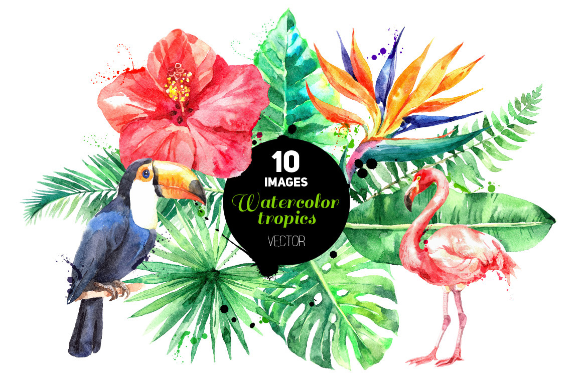 Watercolor Tropical Vector Set, an Animal Illustration by Elena ...