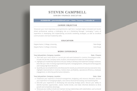 Modern Executive Resume CV Template | Resume Templates ~ Creative Market