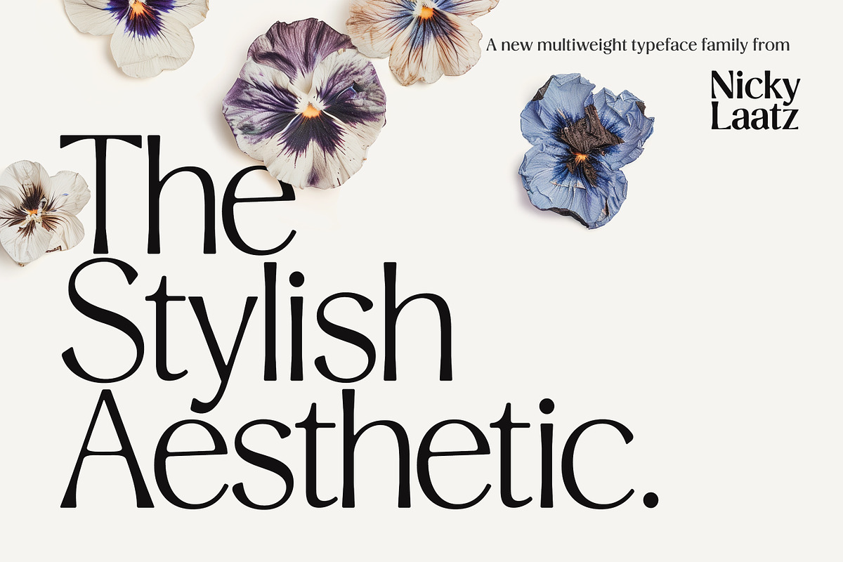 Stylish Aesthetic Sans by Nicky Laatz