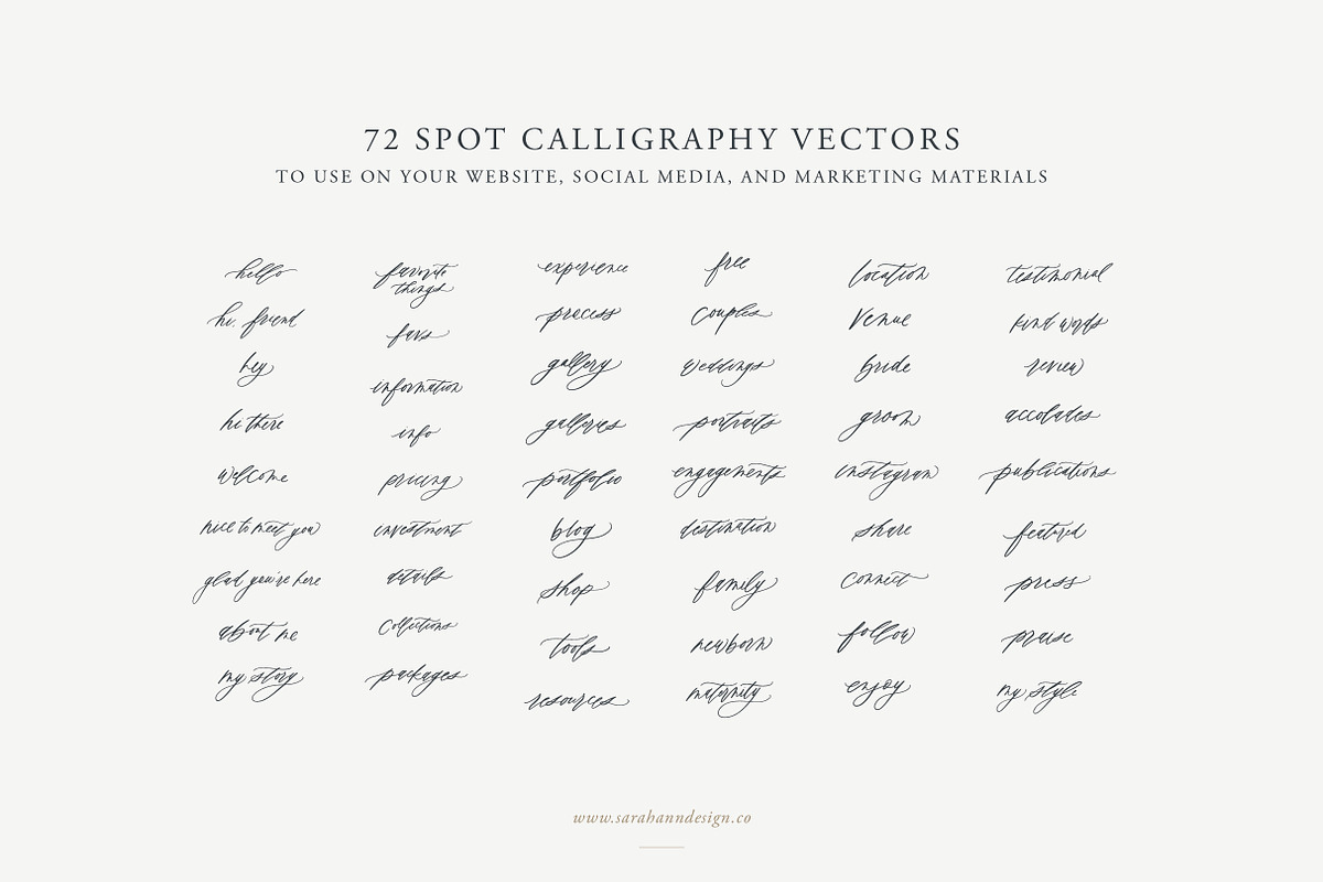 Calligraphy Vectors: Website Words, a Templates & Theme by Sarah Ann Design