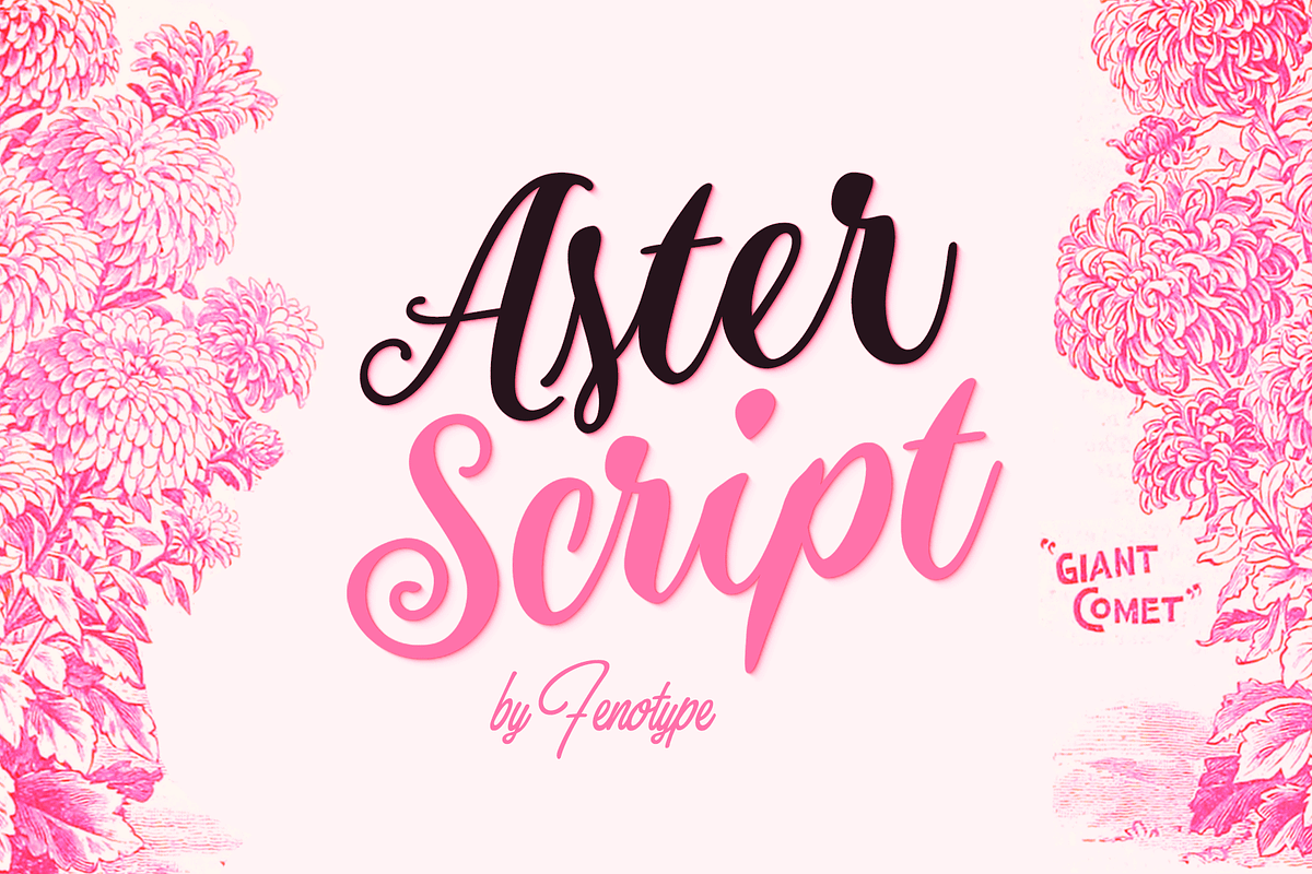 Aster Script, a Script Font by Fenotype