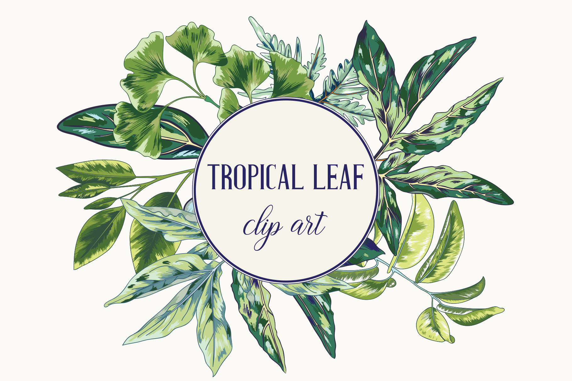 Tropical Leaf Clip Art, an Illustration by Ania Illustration